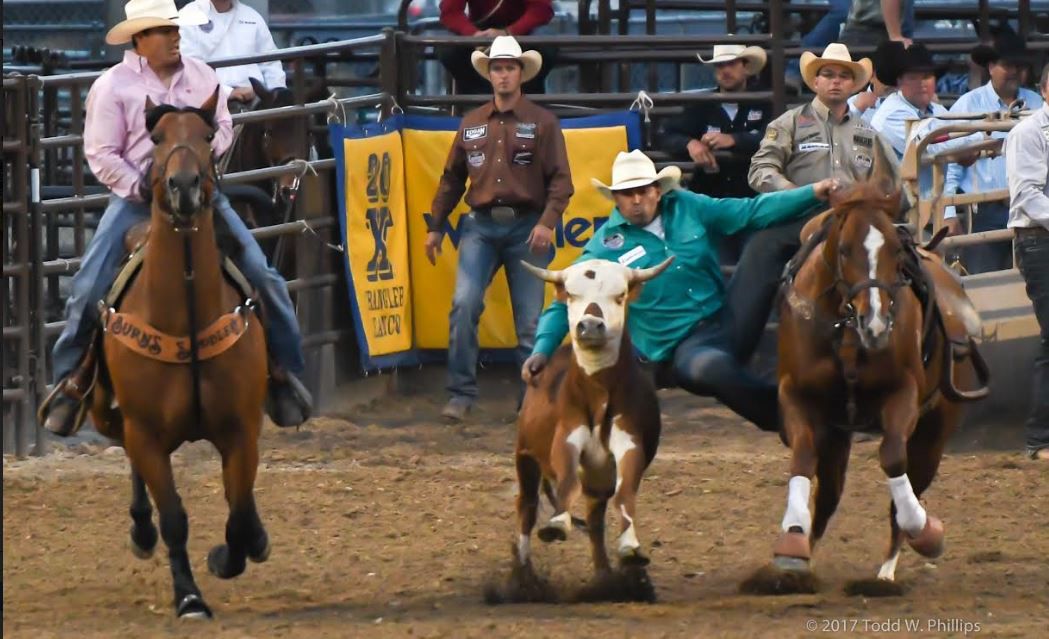Rodeo legend Jack Hannum’s son within reach of world title | News ...